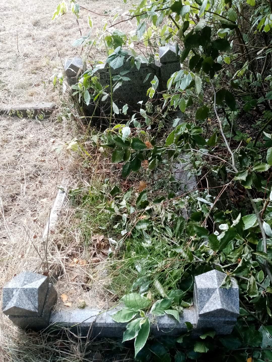 Before & After – F.O.C.C.T.