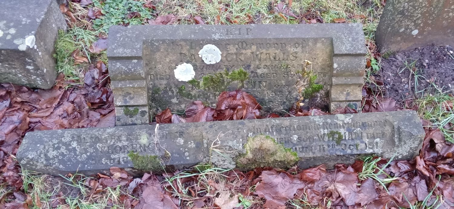 13.6 – Patrick, Mary Ann, Mary Jane, Florence and William Walls – F.O.C ...